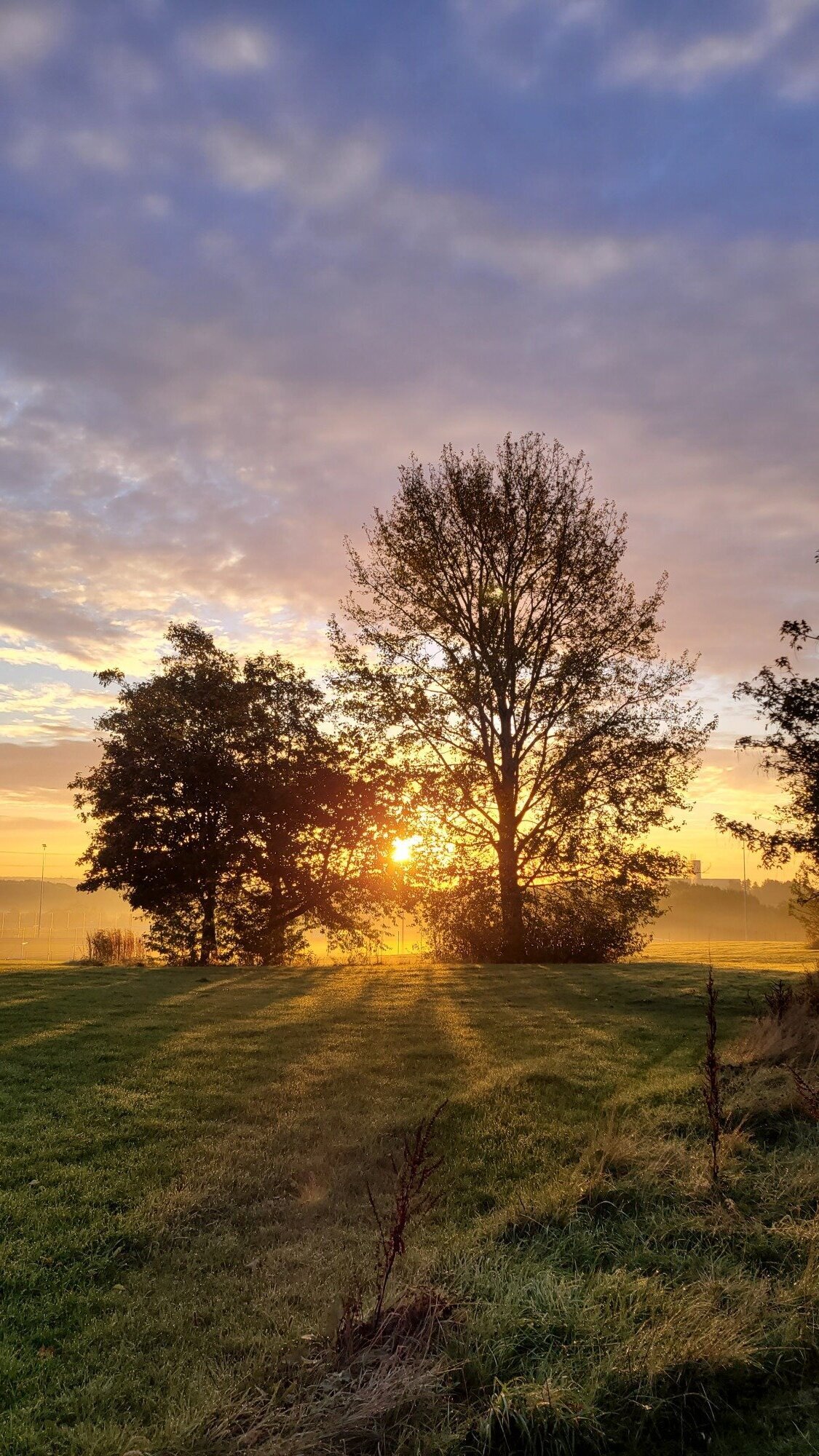 Soulful Sunday Reset: Start Your Week with Clarity & Calm