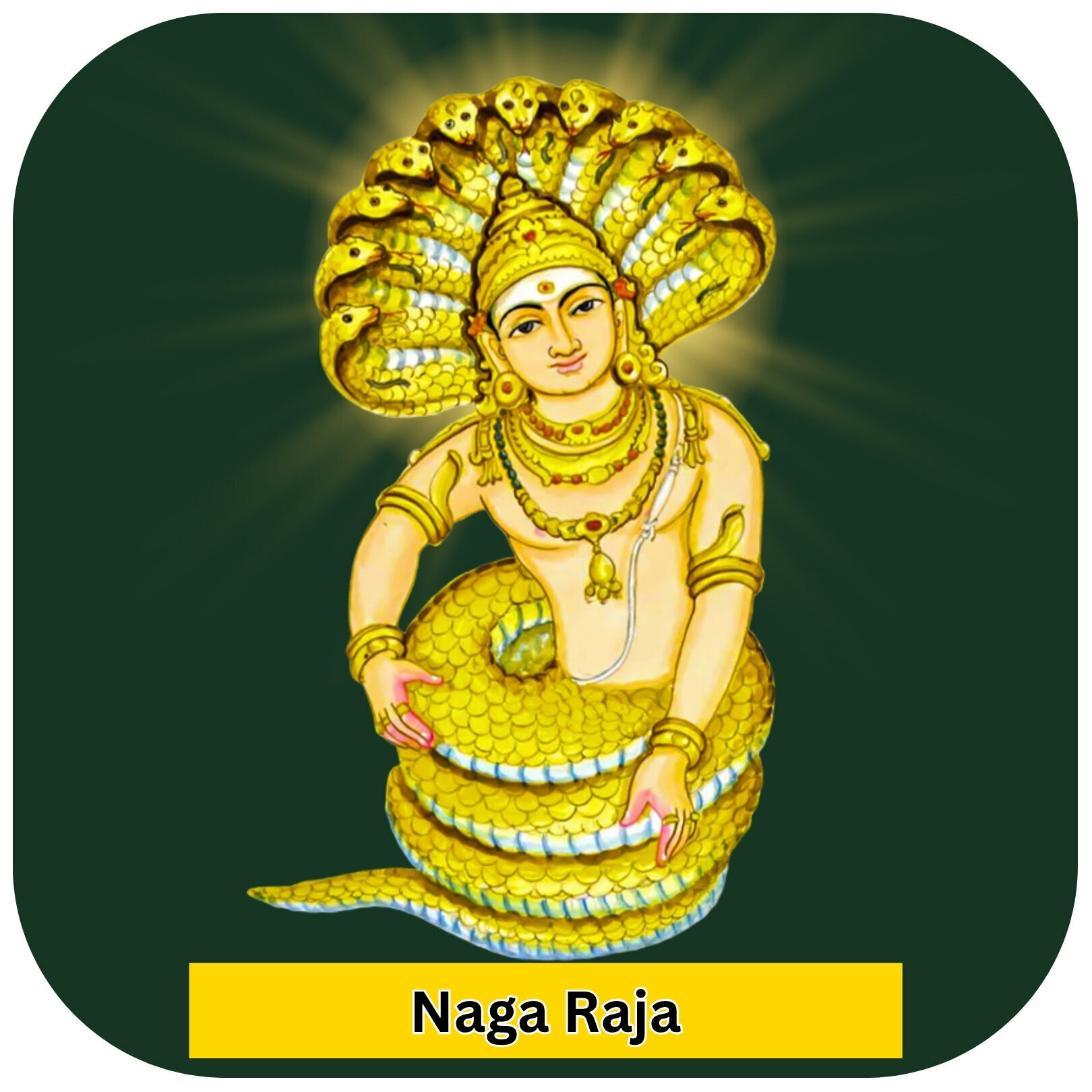 Sahasrara Divine Rituals | Indian Astrology | Homam and Remedies Center