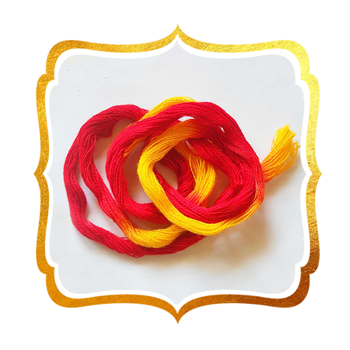 Kala-Aditya Amrta Anusthana Rituals for Ratha Saptami & Narmada Jayanti